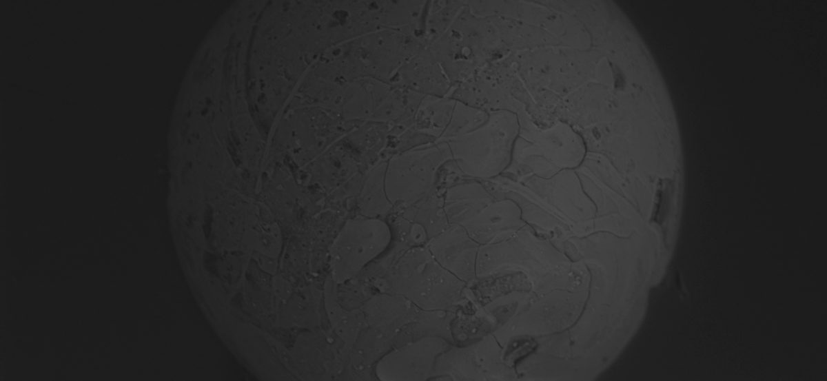 MEB – Microscopie électronique - Intraspec Technologies